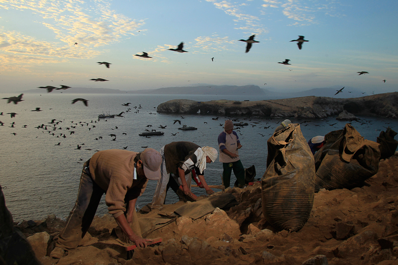Le isole del guano (Foto) - Internazionale